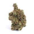 Trainwreck Strain: Full Review Guide | VICESNOB
