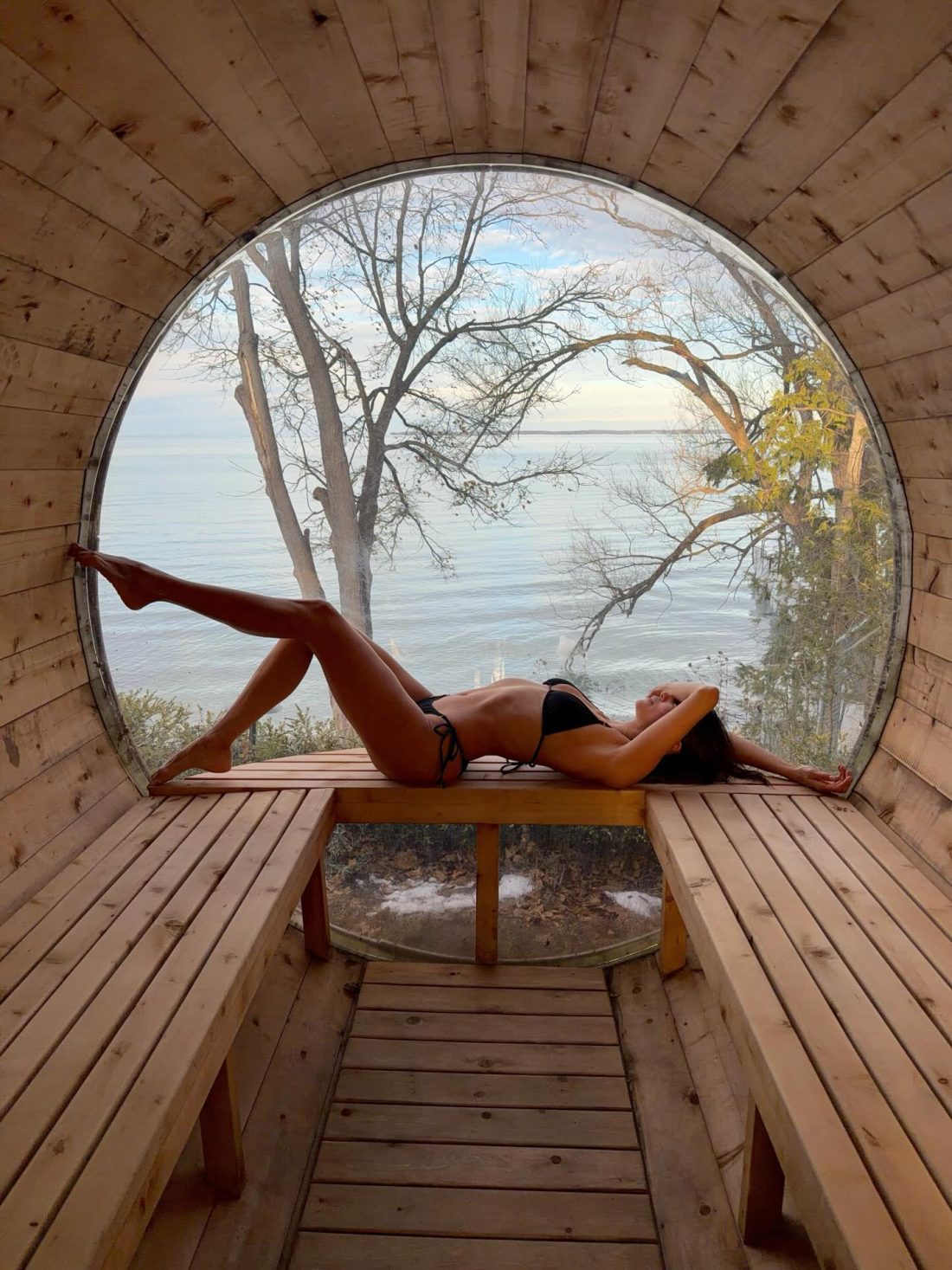 Nina Dobrev Bikini Photo Goes Viral After Christmas